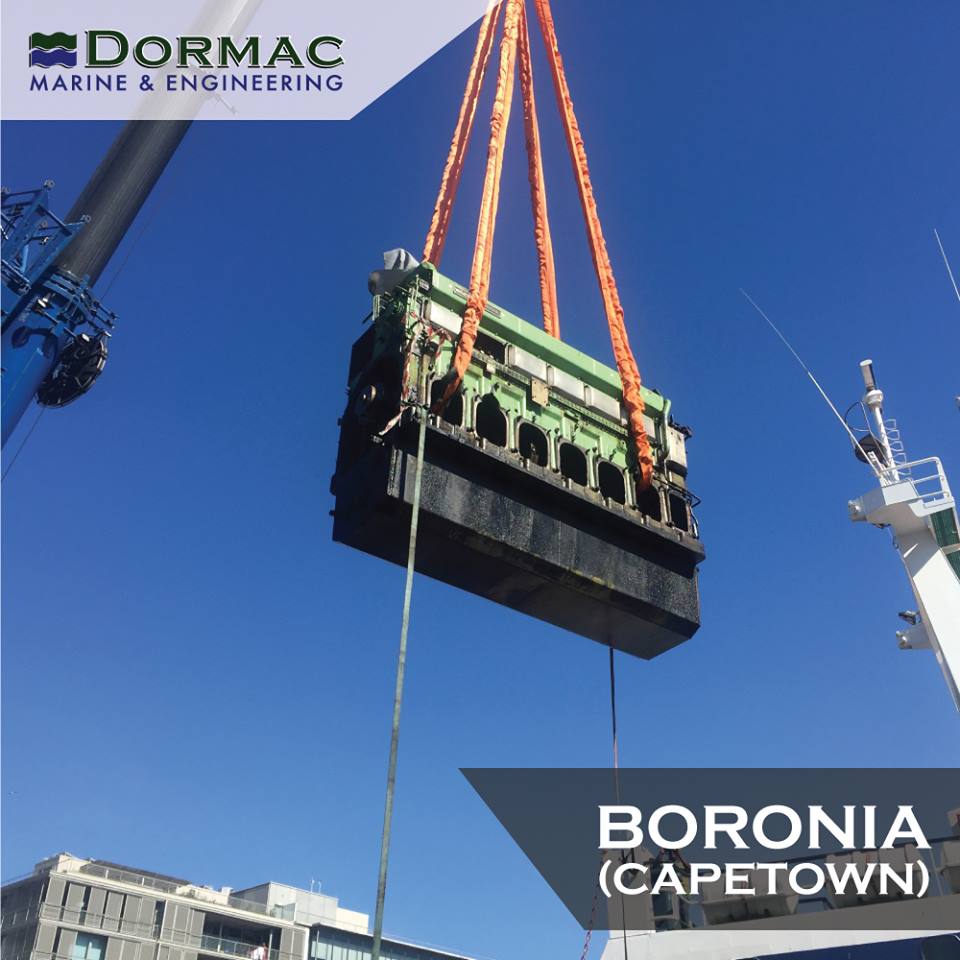 The Boronia - Dormac